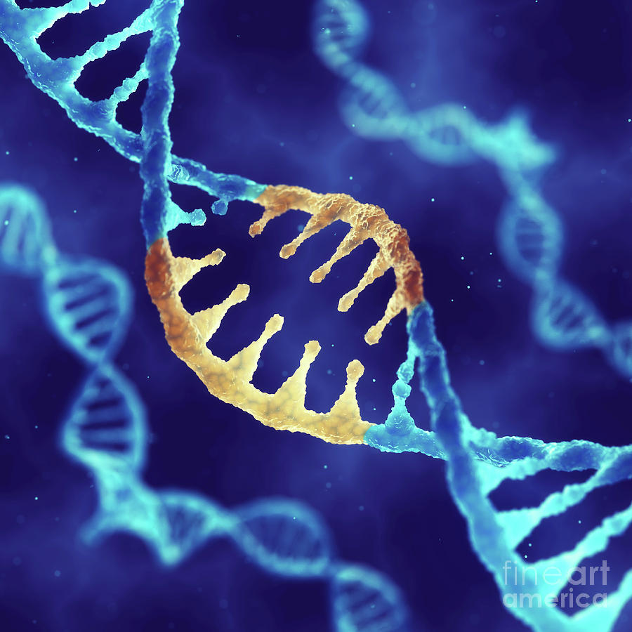 Genetic Engineering #2 by Science Photo Library