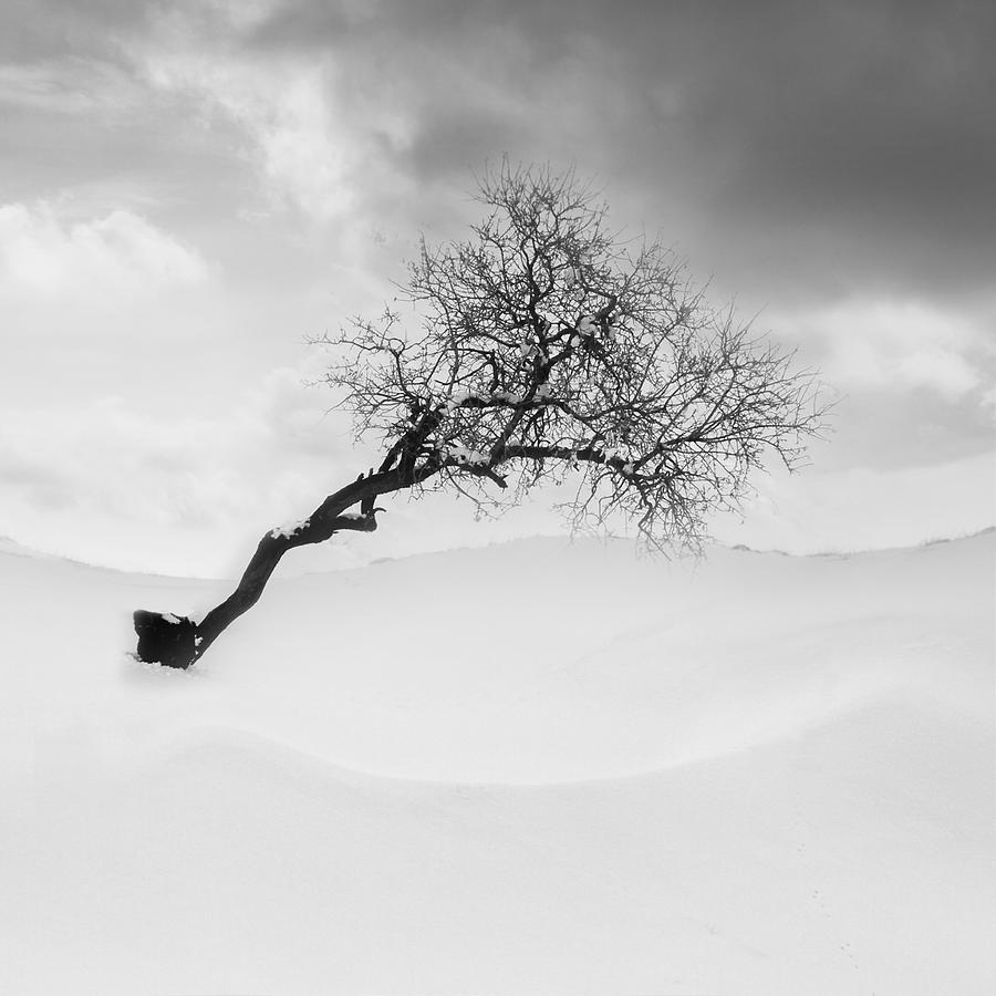 Gilan Photograph by Mostafa Nodeh - Fine Art America