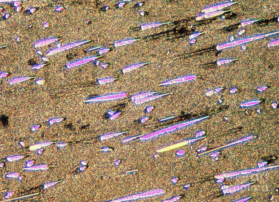 Glass Fibres In Polypropylene Matrix Photograph by Astrid & Hanns-frieder Michler/science Photo ...