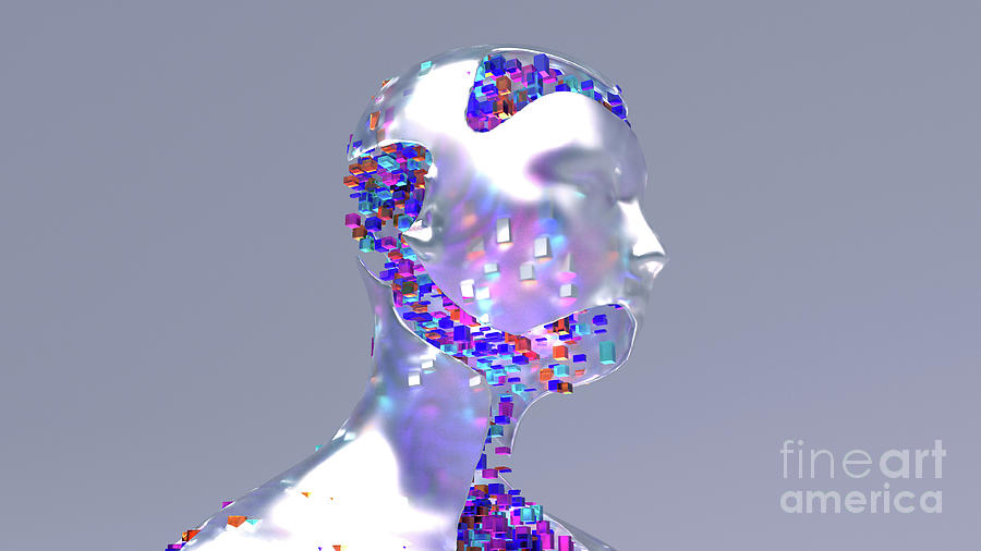 Human Building Blocks Photograph by Design Cells/science Photo Library ...