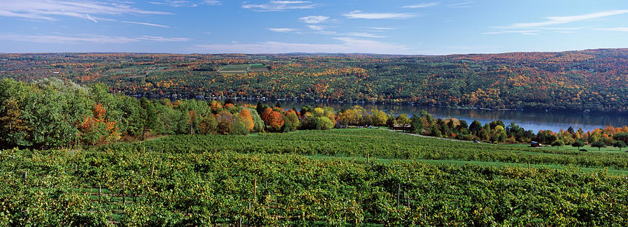 Lake Surrounded By Hills, Keuka Lake Photograph by Panoramic Images - Pixels