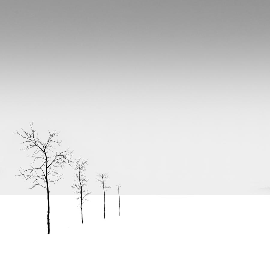 Lines Photograph by Mostafa Nodeh - Fine Art America