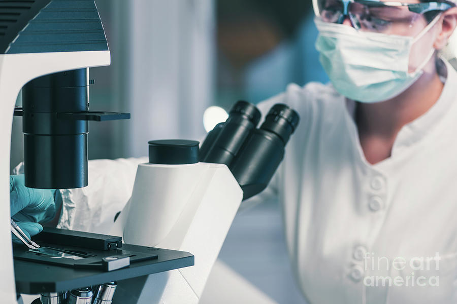 Microbiologist Using Light Microscope Photograph by Microgen Images ...