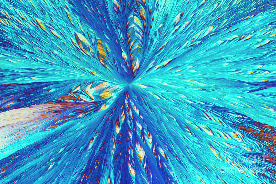 Potash Alum And Mohr's Salt Photograph by Karl Gaff / Science Photo ...