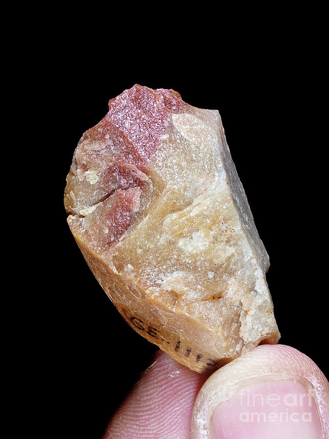 Prehistoric Stone Tool Photograph by Javier Trueba/msf/science Photo ...