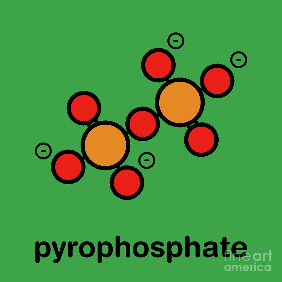 Pyrophosphate Anion #2 Photograph by Molekuul/science Photo Library ...