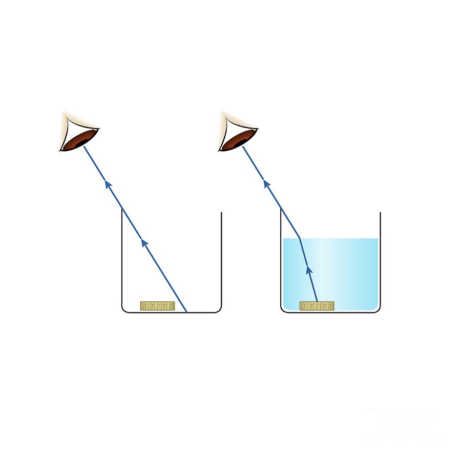 Refraction Photograph by Science Photo Library - Fine Art America