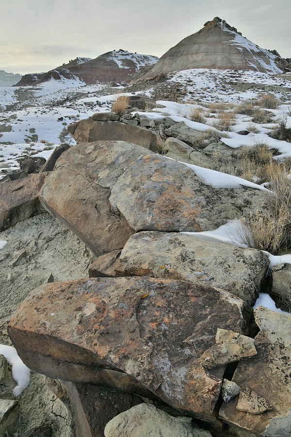 Ruby Mountain Boulder Field Photograph by Ray Mathis - Fine Art America