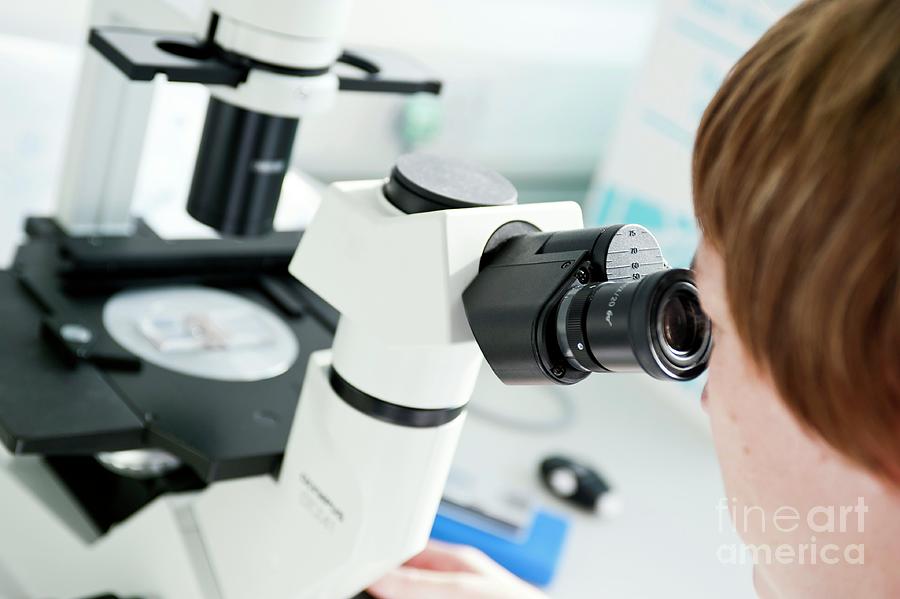 Scientist Using A Microscope Photograph by Dan Dunkley/science Photo ...