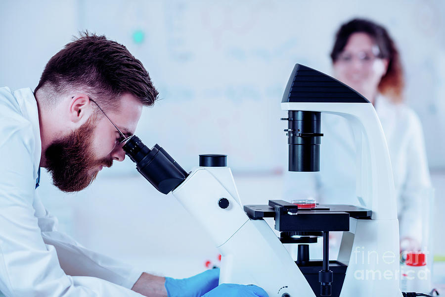 Scientist Using Microscope #2 Photograph by Microgen Images/science ...