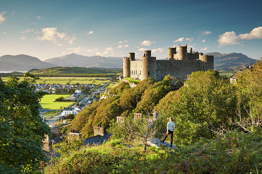 Uk, Wales, Gwynedd, View Of Harlech Castle, Snowdonia National Park ...