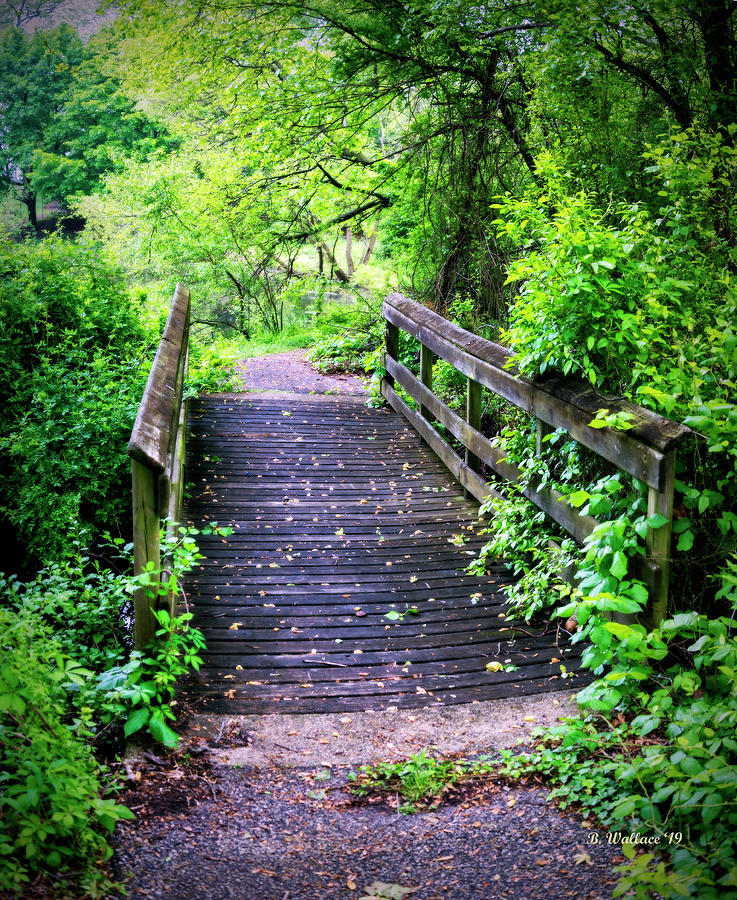 Wooden Walk-bridge And Path Photograph by Brian Wallace - Fine Art America