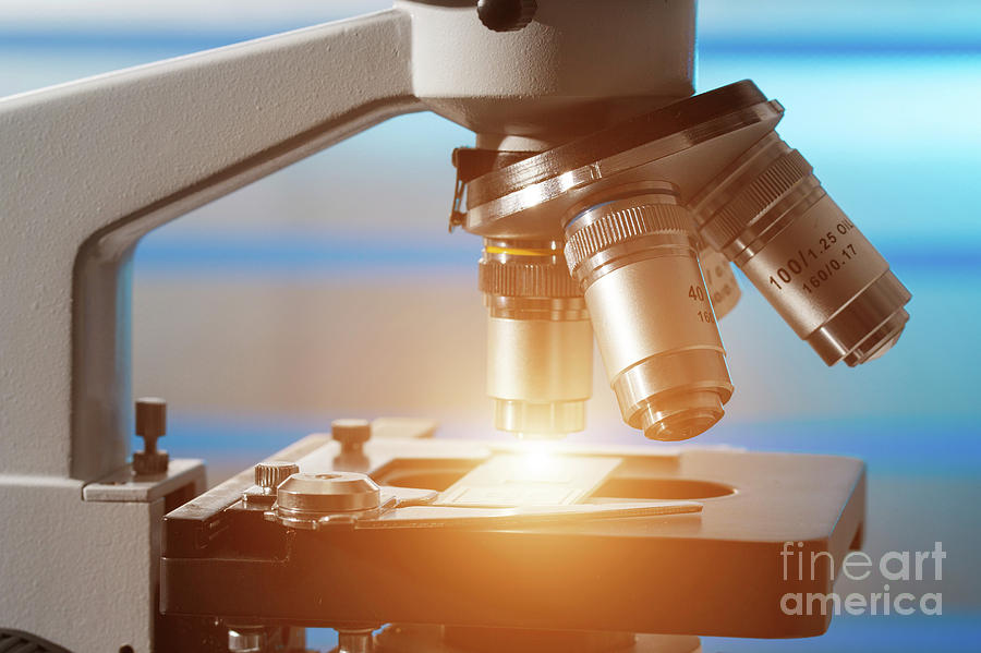 Light Microscope Photograph by Wladimir Bulgar/science Photo Library ...