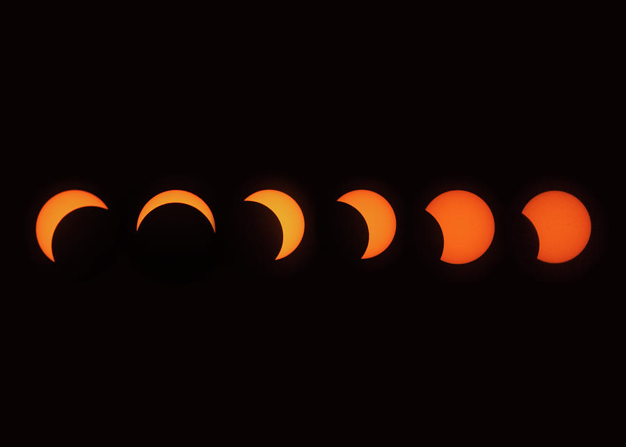 2017 Great American Solar Eclipse Photograph by Jodie LeMaster - Pixels
