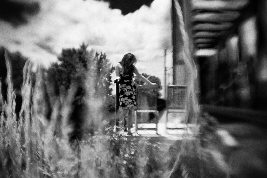 Photograph by Codrin Lupei - Fine Art America