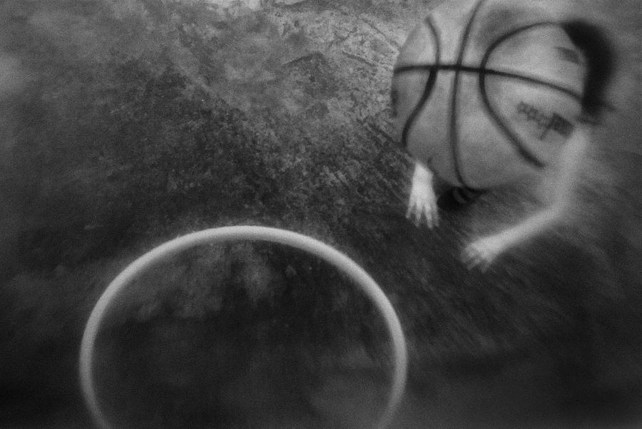 Photograph by Codrin Lupei - Fine Art America