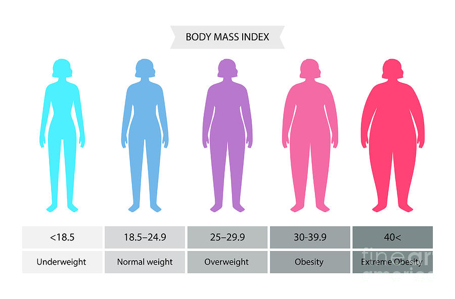 Body Mass Index Photograph by Pikovit / Science Photo Library - Fine Art America
