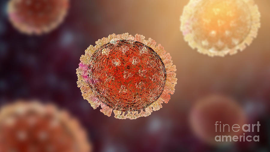 Flu Viruses Photograph by Kateryna Kon/science Photo Library - Fine Art America