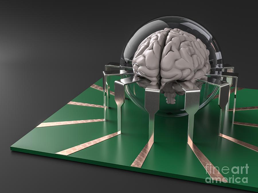 Brain-computer Interface Photograph by Laguna Design/science Photo ...