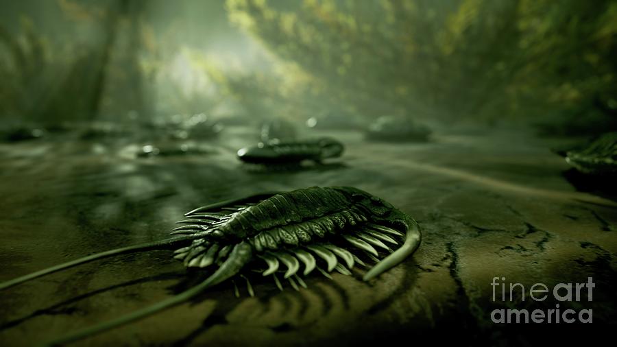 Trilobites In Palaeozoic Sea Photograph by Richard Jones/science Photo ...