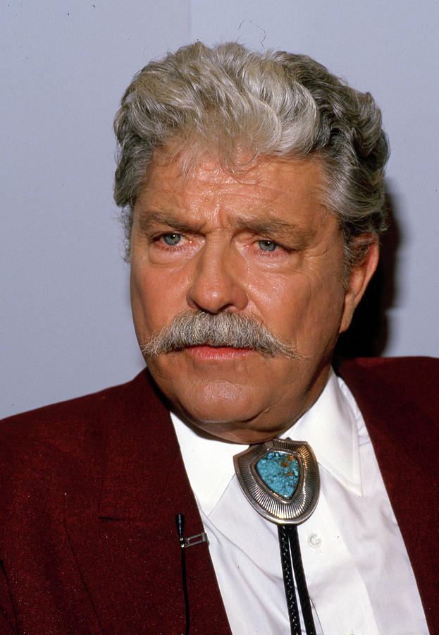 Dale Robertson #3 by Mediapunch