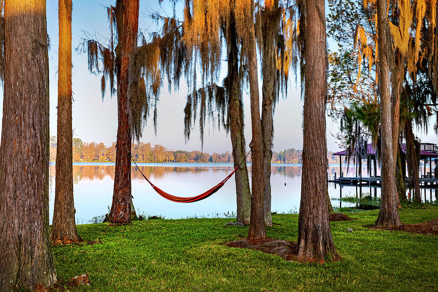 Lake View, Tampa, Florida Digital Art by Lumiere | Pixels