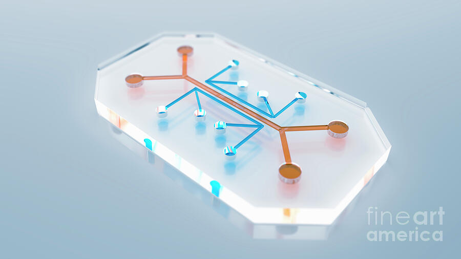 Microfluidic Device #3 Photograph by Thom Leach / Science Photo Library ...