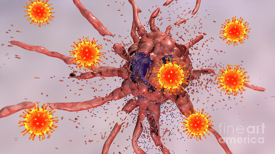 Oncolytic Viral Therapy Photograph by Kateryna Kon/science Photo Library - Fine Art America