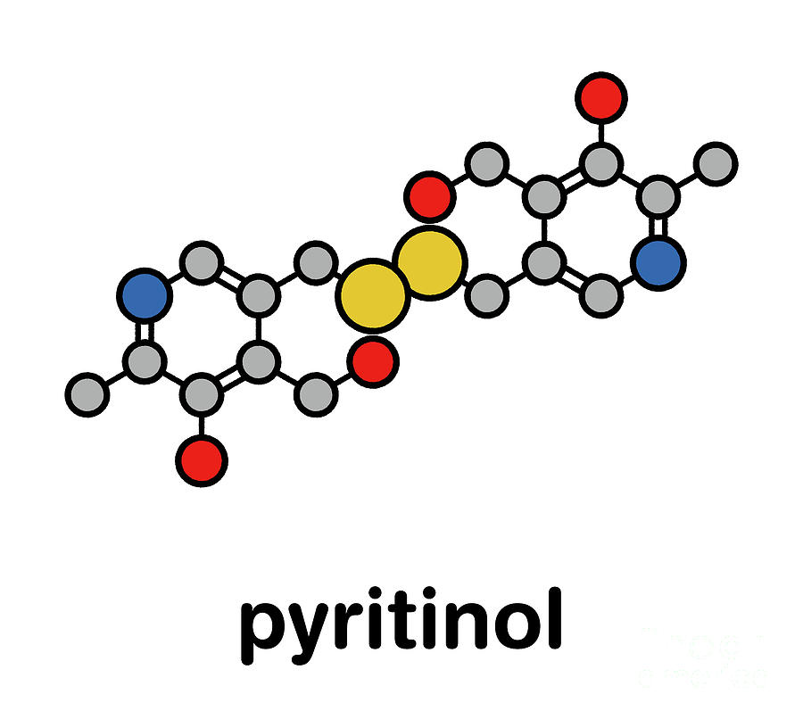 Pyritinol Molecule #3 Photograph by Molekuul/science Photo Library - Pixels