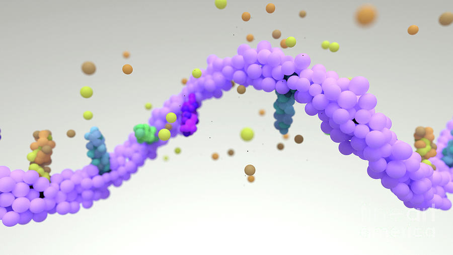 Rna Mutation #3 by Science Photo Library