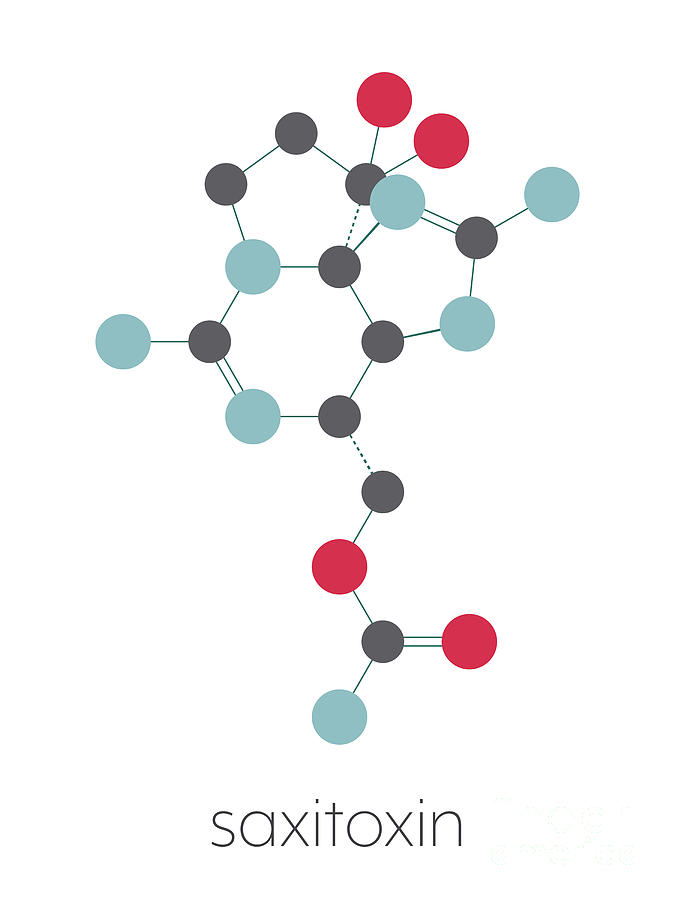 Saxitoxin Paralytic Shellfish Toxin Photograph by Molekuul/science ...