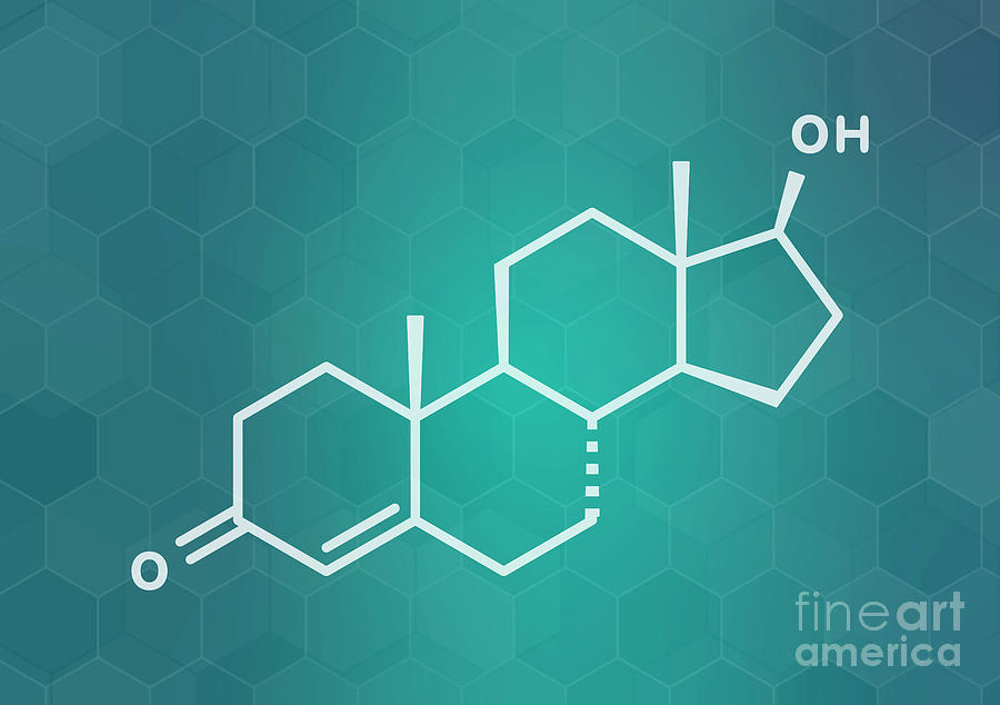 Testosterone Male Sex Hormone Molecule Photograph By Molekuul Science