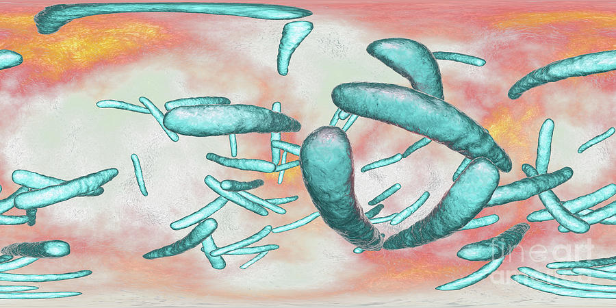 Tuberculosis Bacteria Photograph by Kateryna Kon/science Photo Library - Fine Art America