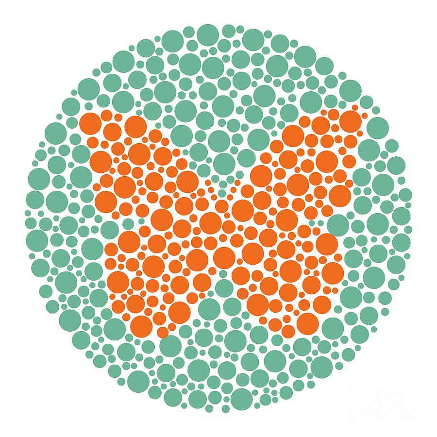 Colour Blindness Test Chart #301 by Science Photo Library