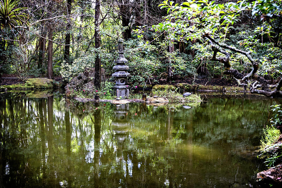 Florida, South Florida, Delray Beach, Morikami Museum And Japanese Gardens #37 by Laura Diez