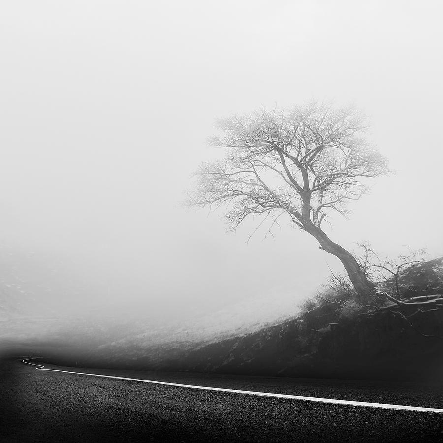 Dream Photograph by Mostafa Nodeh - Fine Art America