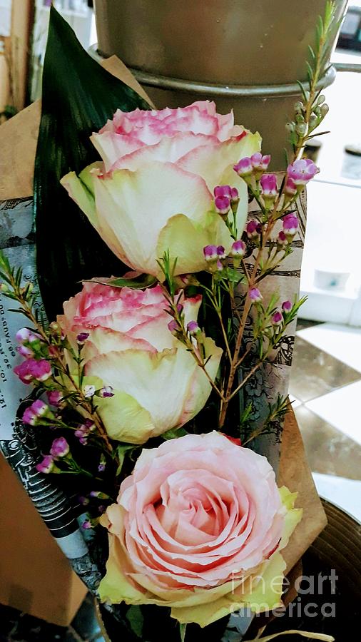 Superb Gem Rose Photograph by Ghee Flores - Fine Art America