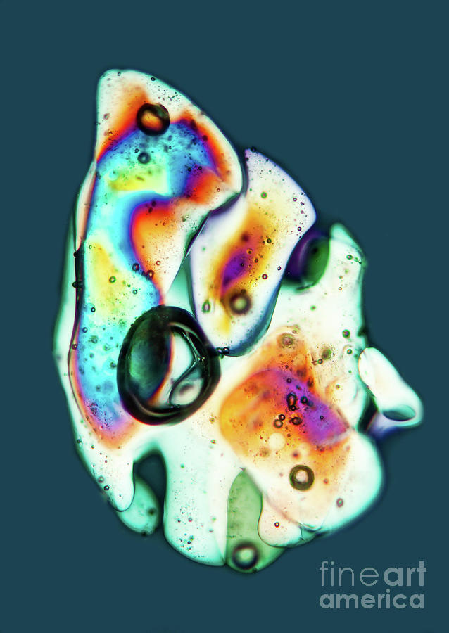 Graupel Grain Photograph by Gerd Guenther/science Photo Library - Pixels