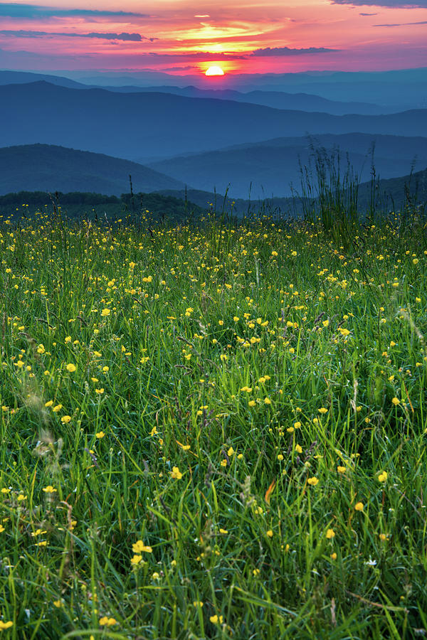 Max Patch Mountain Photograph by David Simchock | Fine Art America
