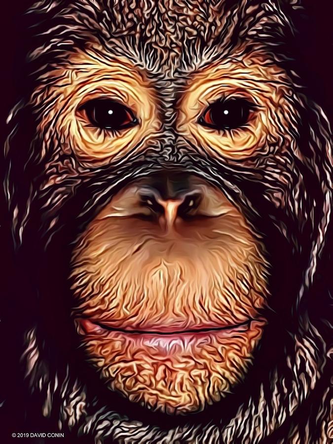 Monkey Digital Art by David Conin - Pixels