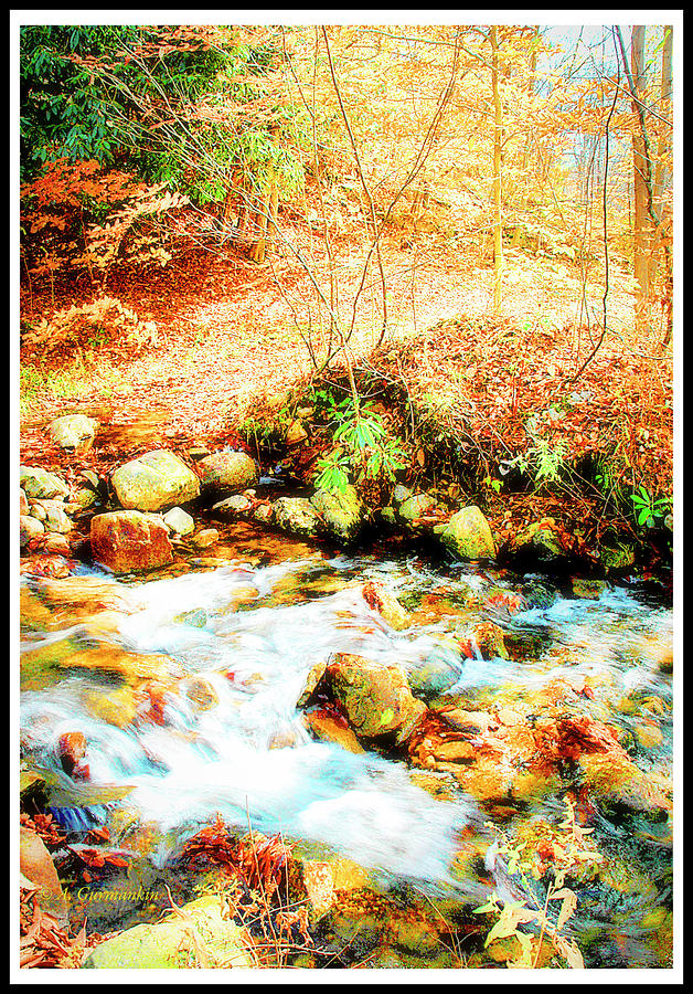 Mountain Brook in Autumn Digital Art by A Macarthur Gurmankin - Fine ...