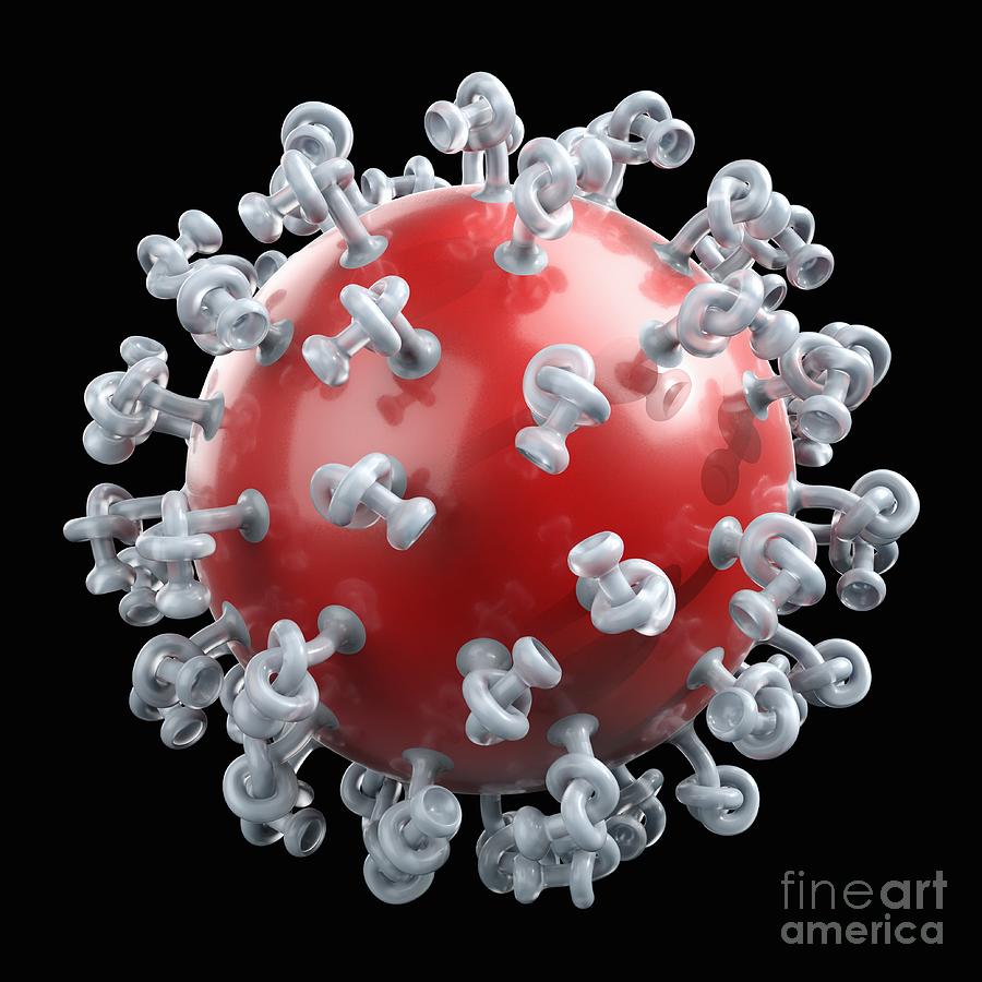 Neutralized Virus Capsid Photograph by Laguna Design/science Photo Library | Fine Art America