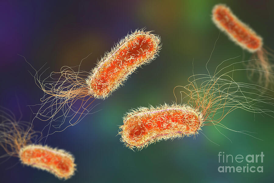 Pseudomonas Aeruginosa Bacteria #4 Photograph by Kateryna Kon/science Photo Library - Pixels Merch