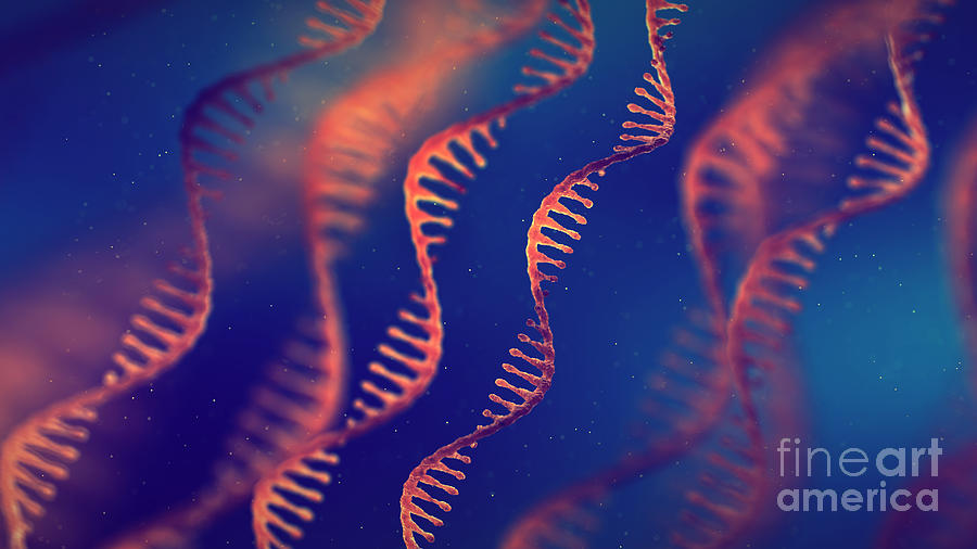 Rna Molecules #4 by Science Photo Library