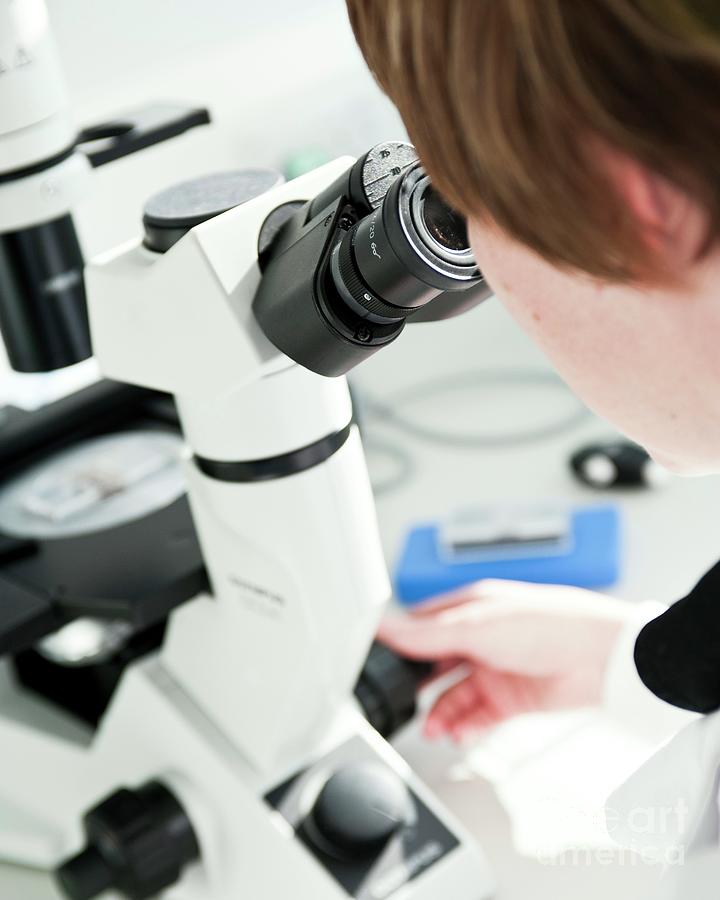 Scientist Using A Microscope #4 Photograph by Dan Dunkley/science Photo ...