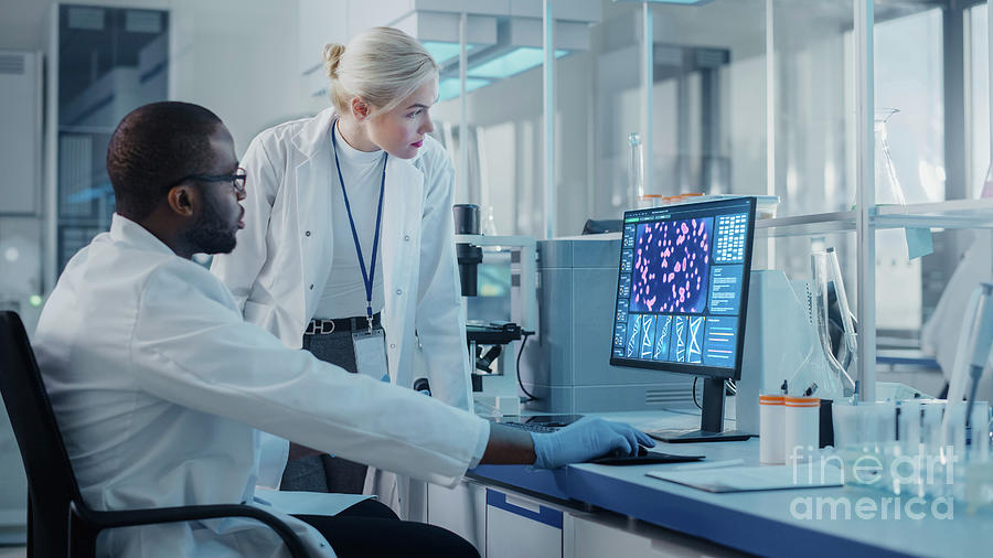 Two Scientists Using A Computer Photograph by Gorodenkoff Productions/science Photo Library ...