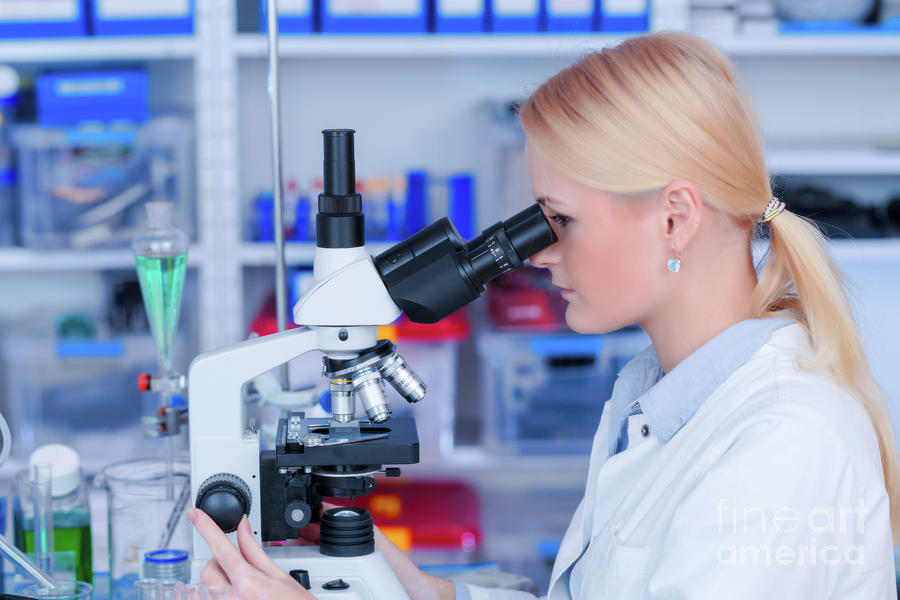 Scientist Using Microscope Photograph by Wladimir Bulgar/science Photo ...