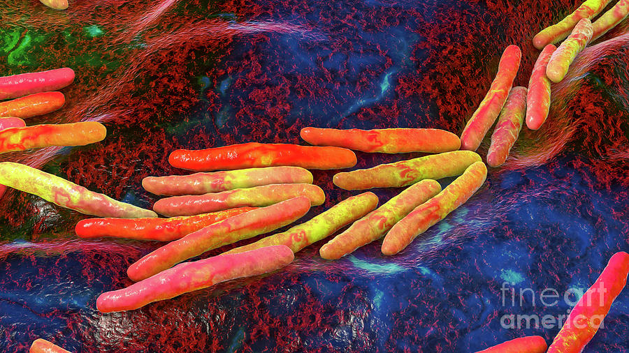 Tuberculosis Bacteria Photograph by Kateryna Kon/science Photo Library | Pixels