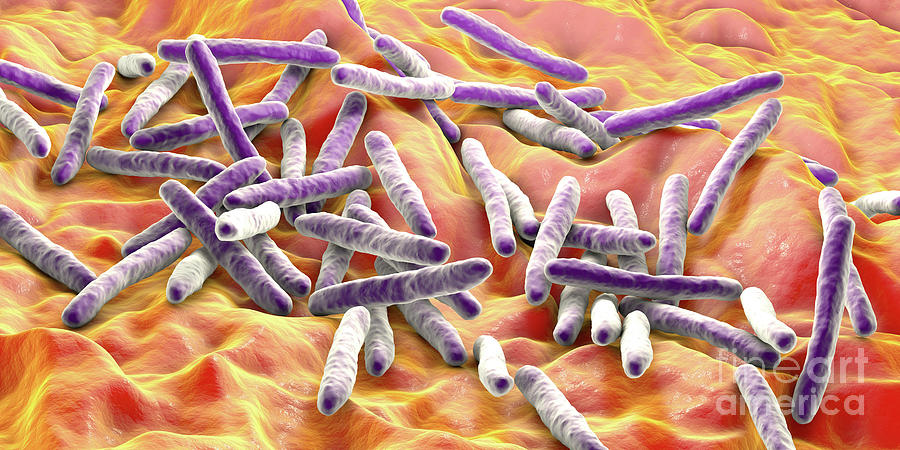Tuberculosis Bacteria Photograph by Kateryna Kon/science Photo Library | Pixels