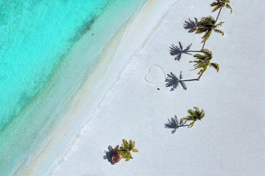 Aerial View Of Palm Trees On Tropical Beach Photograph by Cavan Images / Konstantin Trubavin ...